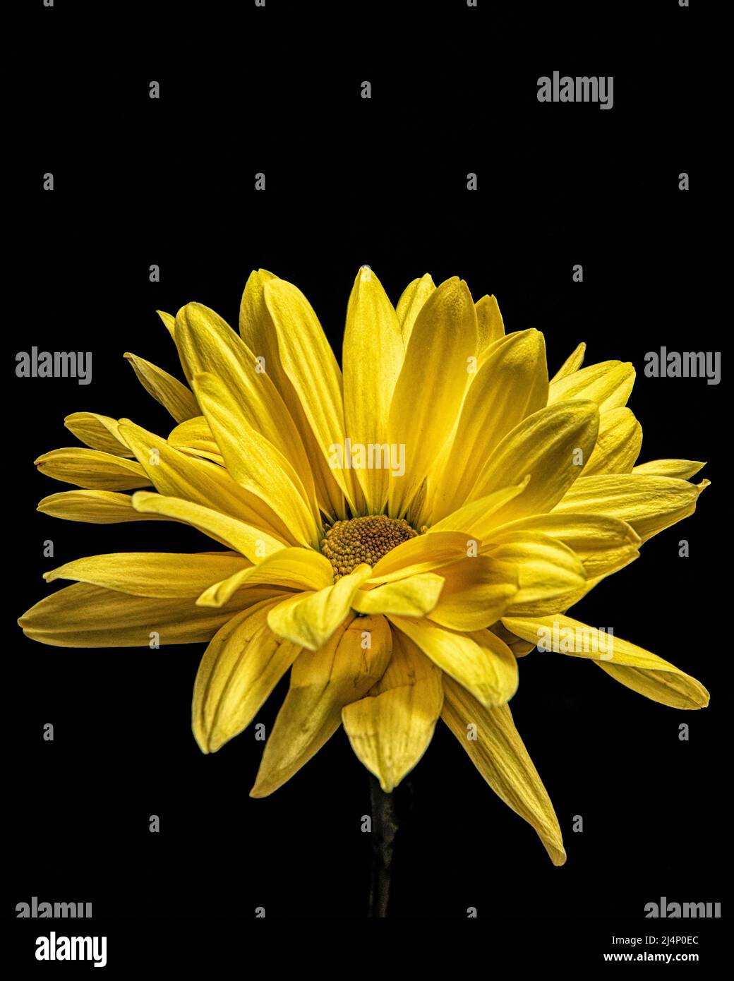 How great thou art hi-res stock photography and images - Alamy