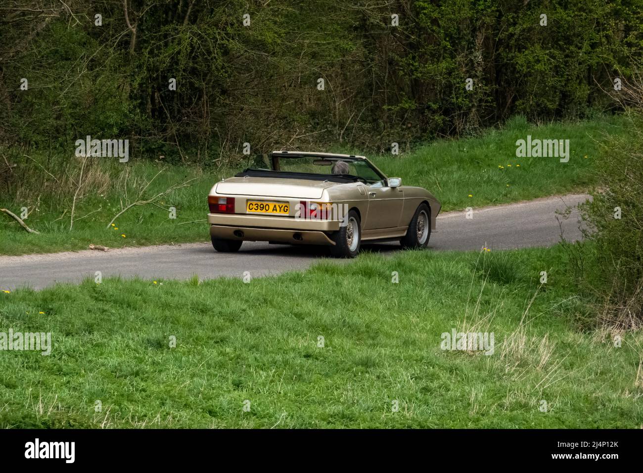 classic 1985 Gold TVR Tasmin 390SE Cabriolet driving through open green ...