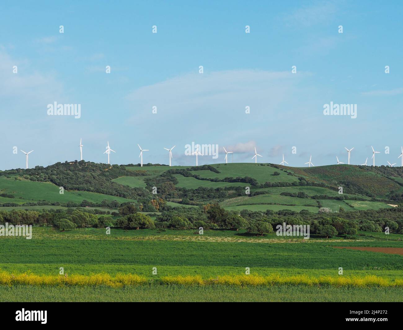Wind power installation of windmills in fields on mountain with blue ...
