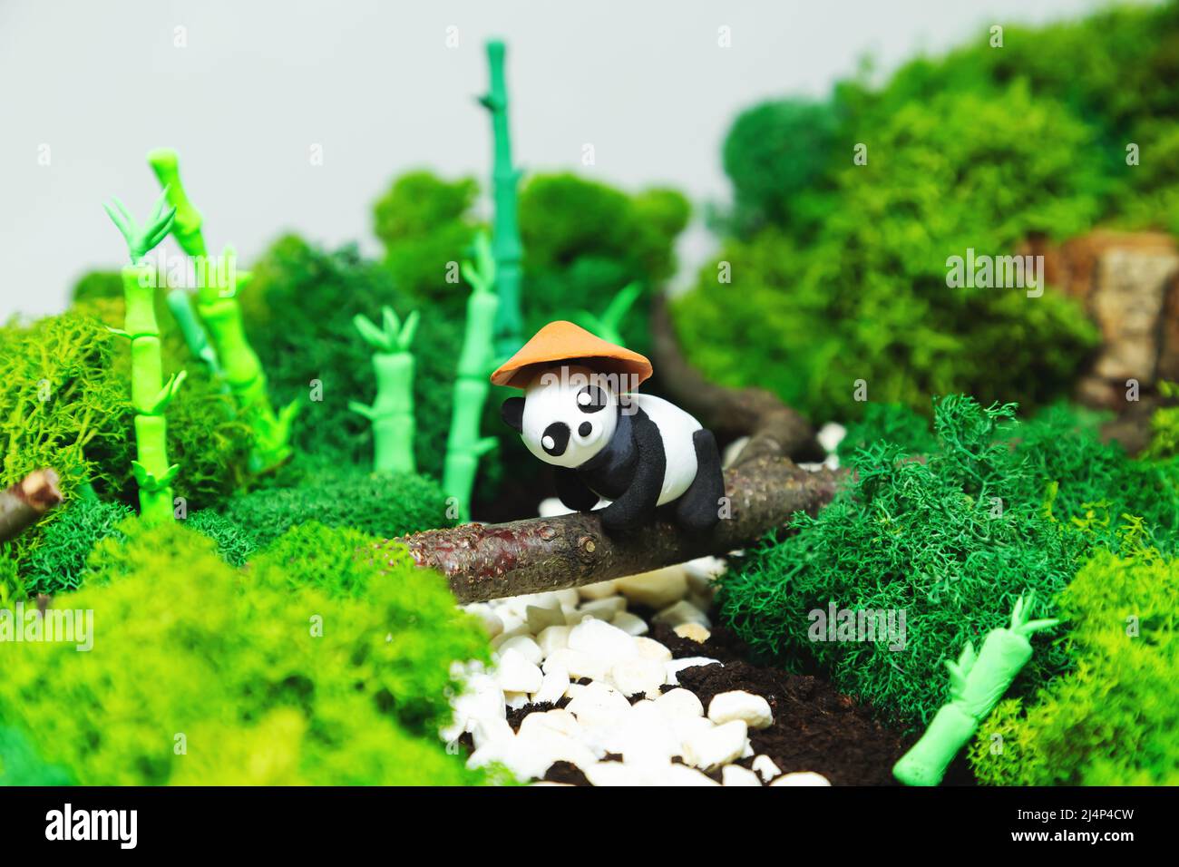 Giant Panda Habitat Diorama