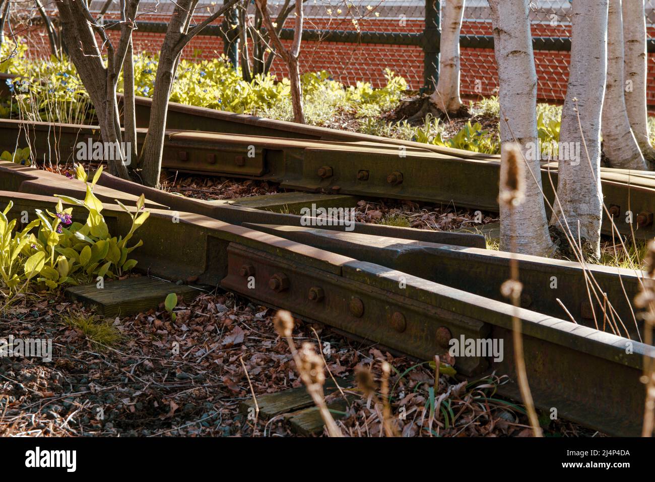 Trees growing between railroad tracks on The High Line recreational ...