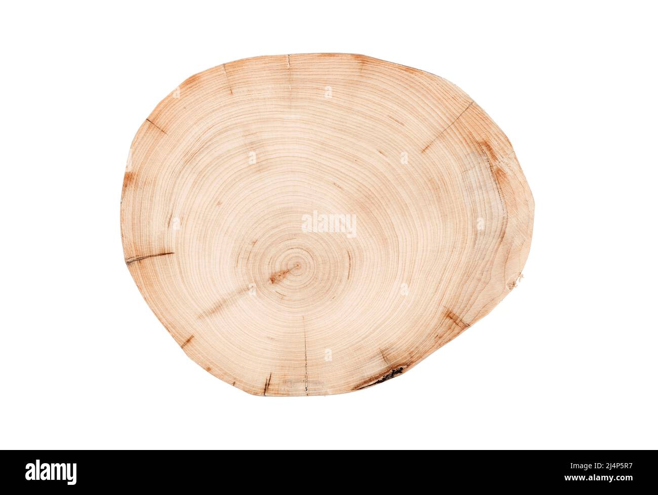 Pinewood background Cut Out Stock Images & Pictures - Alamy