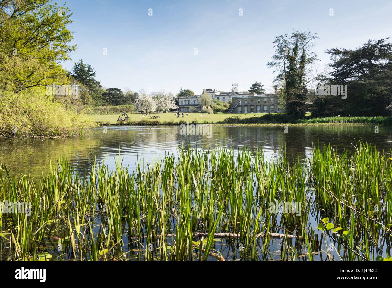 At froebel college hi-res stock photography and images - Alamy