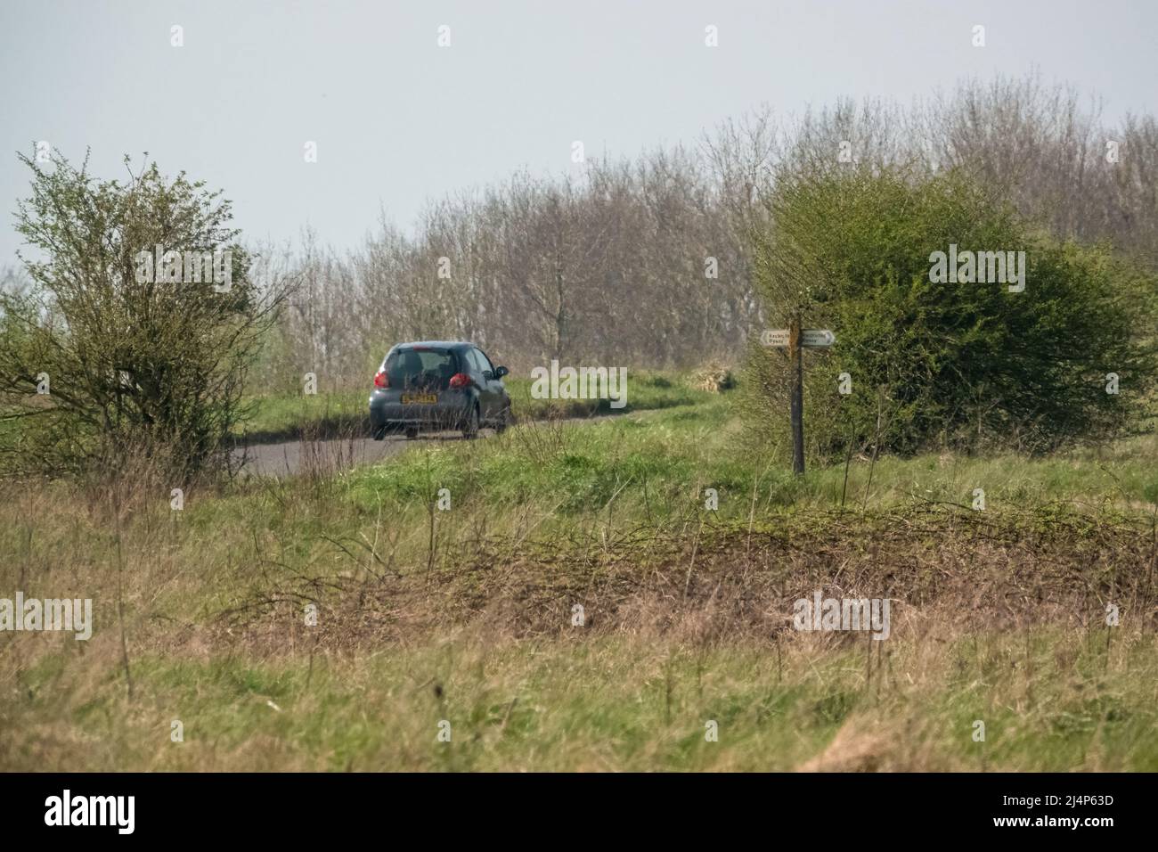 large dark red coach work horse transport lorry in motion through open ...