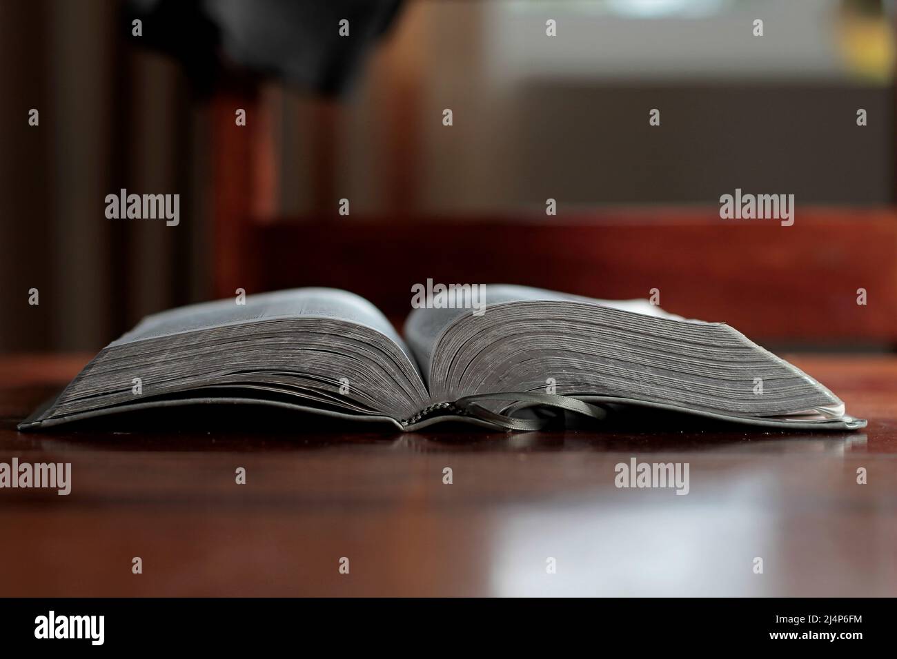 How to read a paper hi-res stock photography and images - Alamy