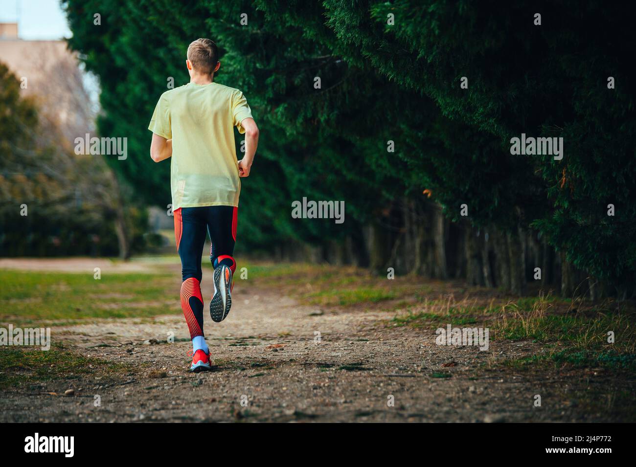 A view of a runner's back warming up before running training. Sports ...