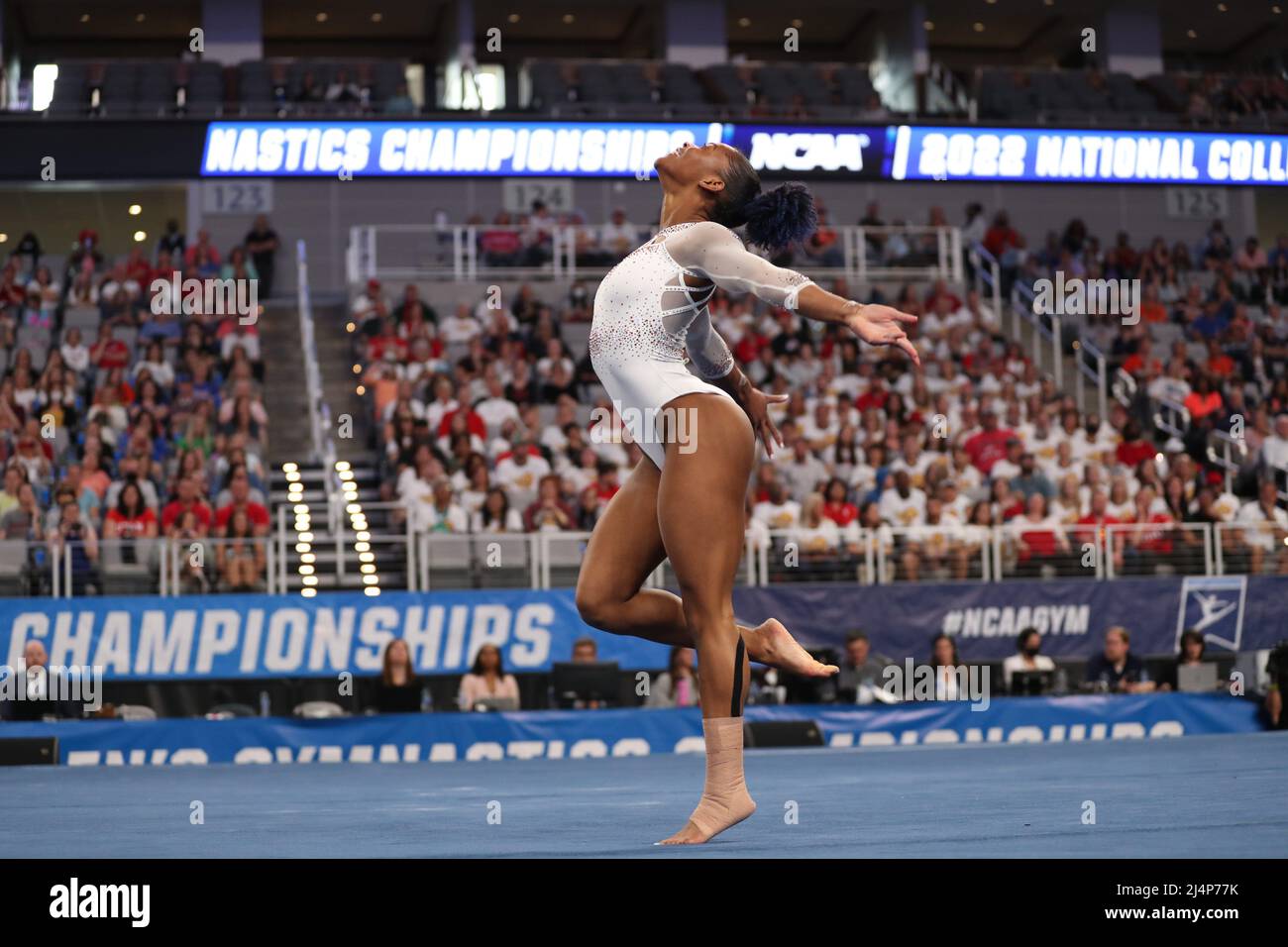 Gymnastics florida gators trinity thomas hi-res stock photography and ...
