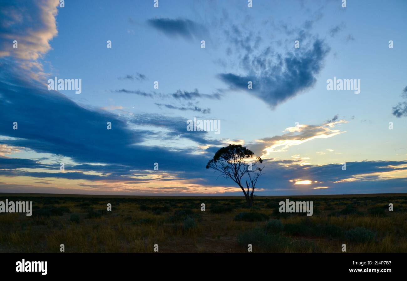 Beautiful sunrise at dawn with stunning colorful sky in the flat ...