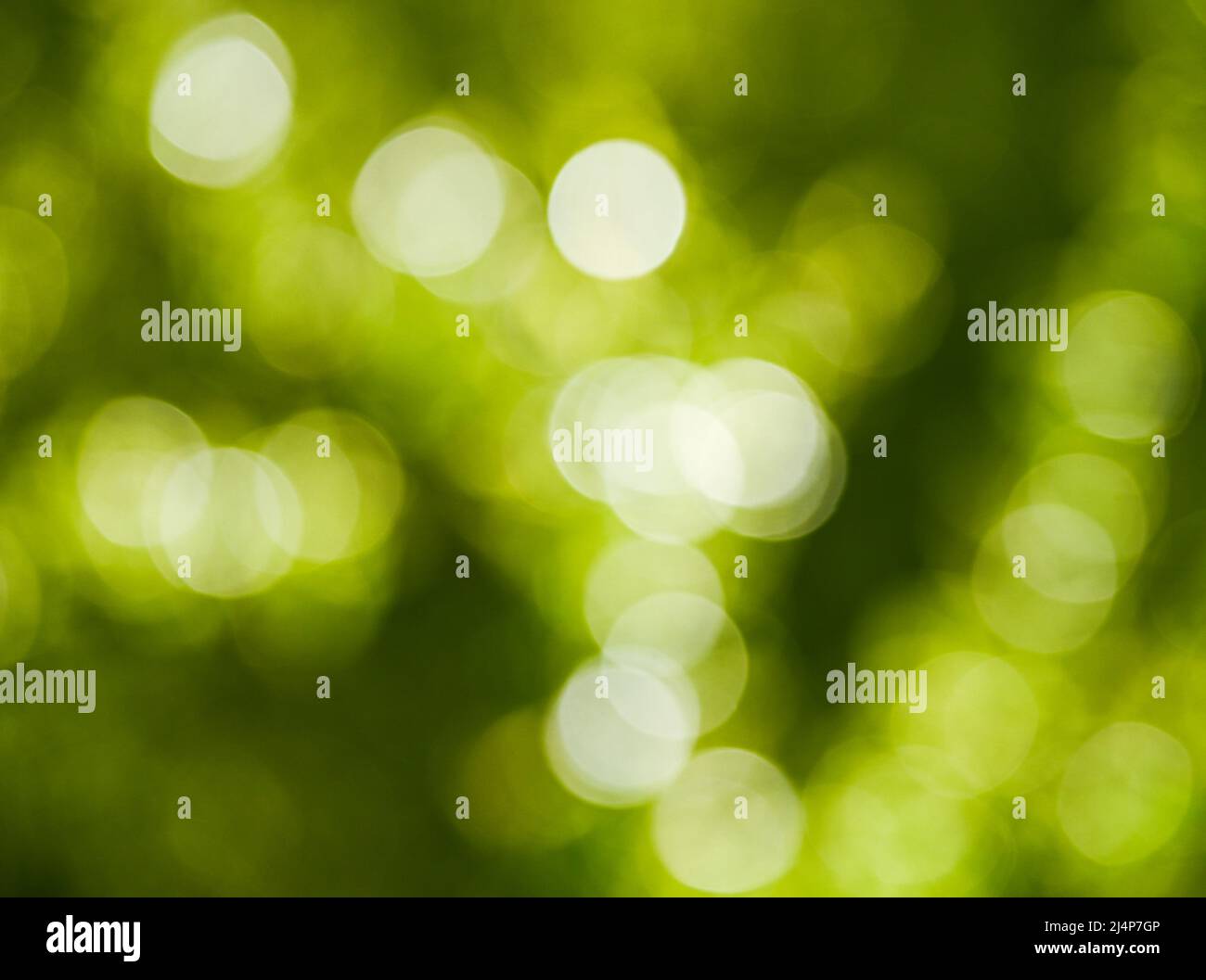 Bokeh green background Stock Photo - Alamy Bokeh green background Stock Photo - Alamy