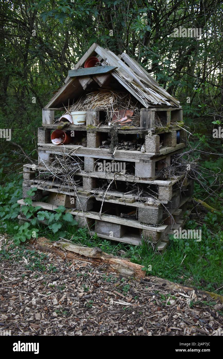 Bug hostel hi-res stock photography and images - Alamy