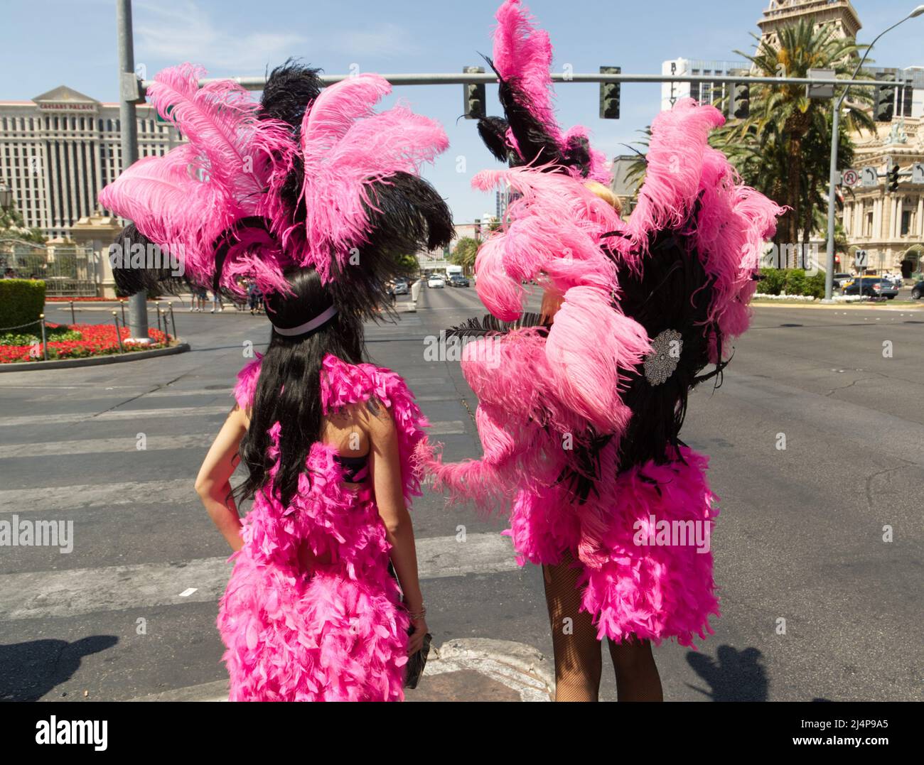 Pink Ladies on the Las Vegas Strip, Las Vegas, Nevada, USA Stock Photo ...