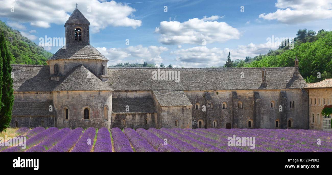 Abbey Senanque and Lavender field, France Stock Photo - Alamy