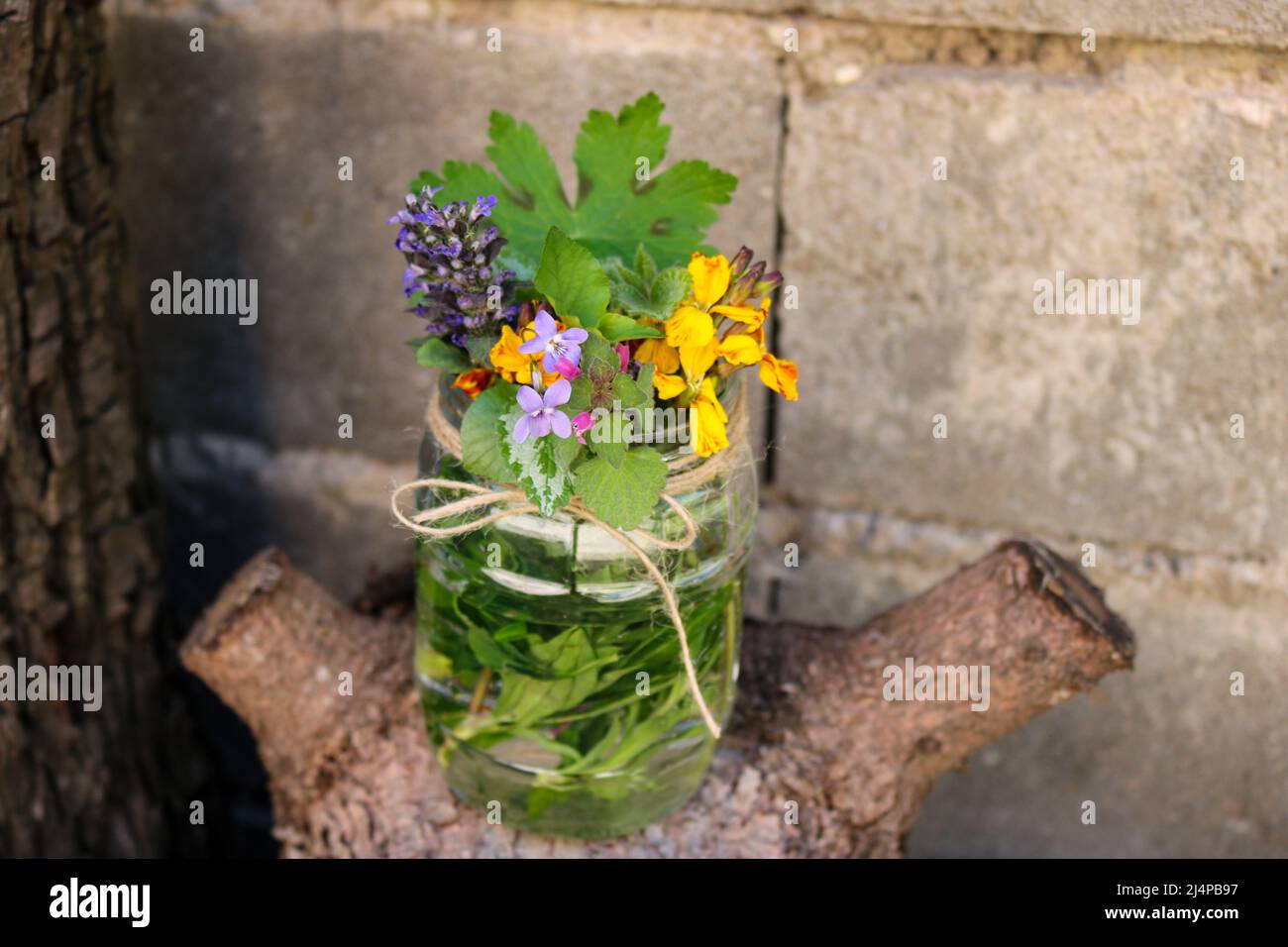 Spring time vase of flowers hi-res stock photography and images - Alamy
