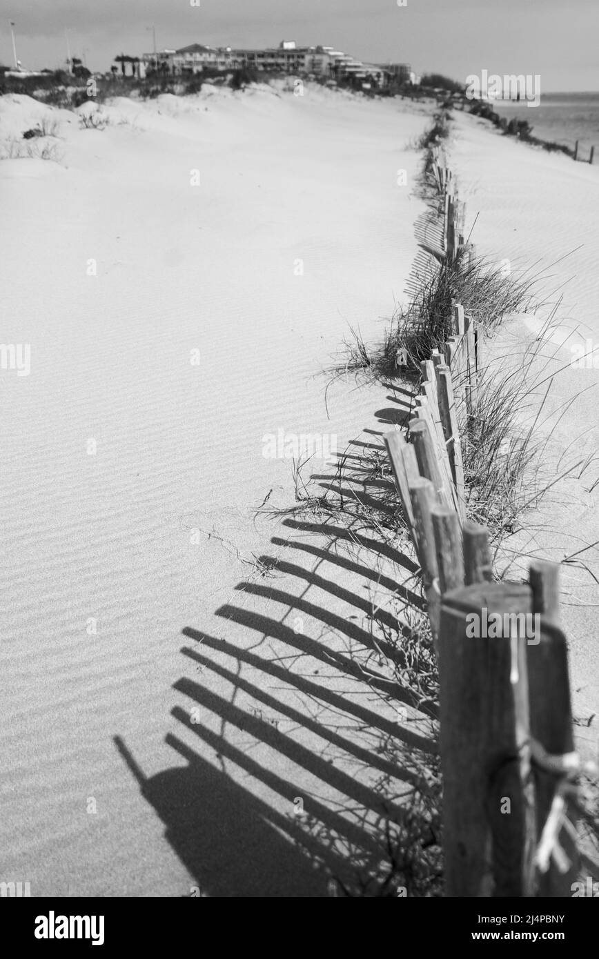 Wooden fence protecting sand dunes at a beach along the coast, a wooden ...