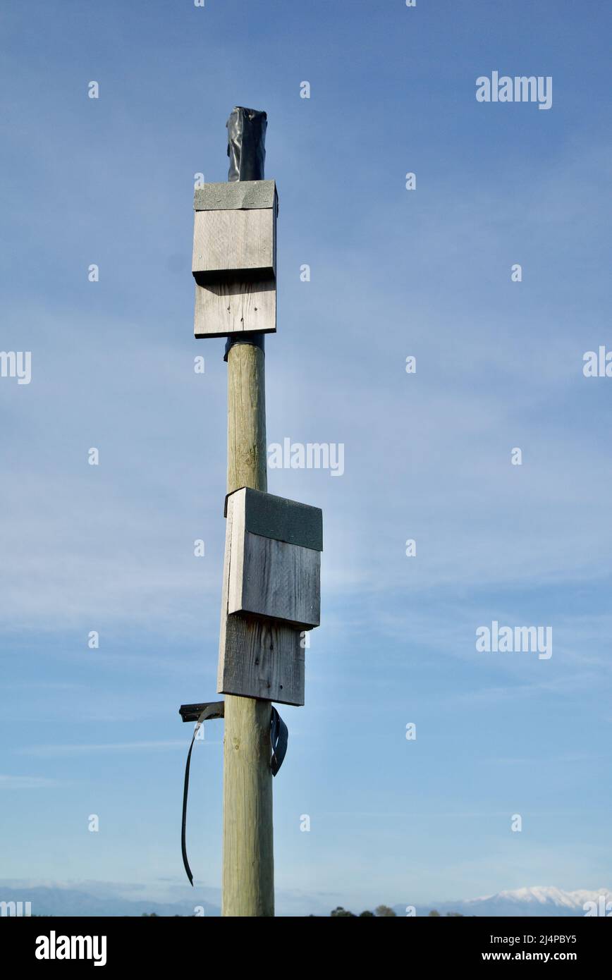 Wooden bat boxes on a wooden pole / bat box / wildlife house / nature ...
