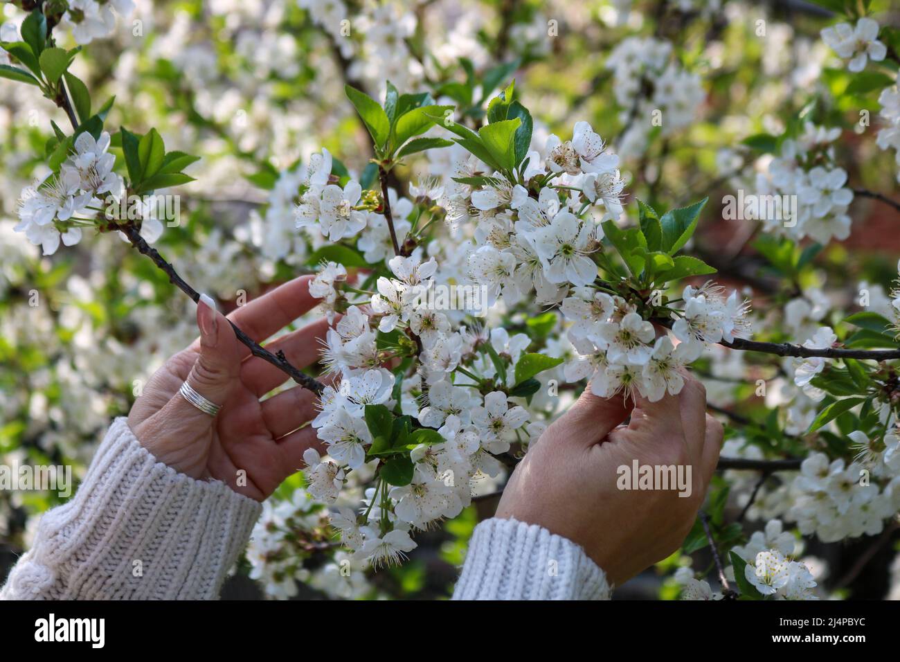 Woman spring flowers magical hi-res stock photography and images - Alamy