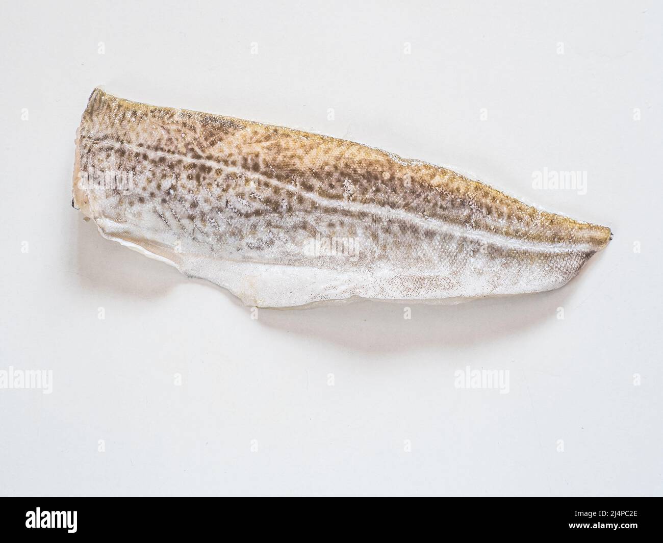 Cod on white background Stock Photo - Alamy