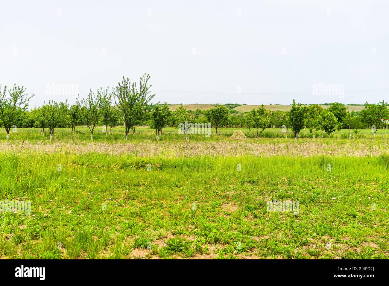 Countryside farming land. Land prepared for farming. Agriculture ...