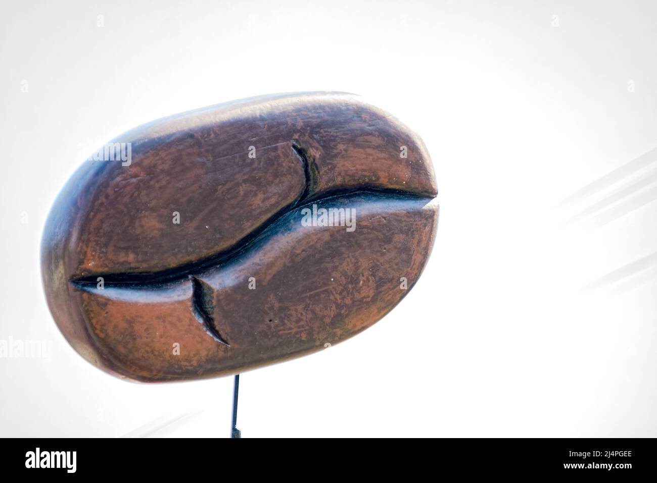Large coffee beans on a white background Stock Photo - Alamy