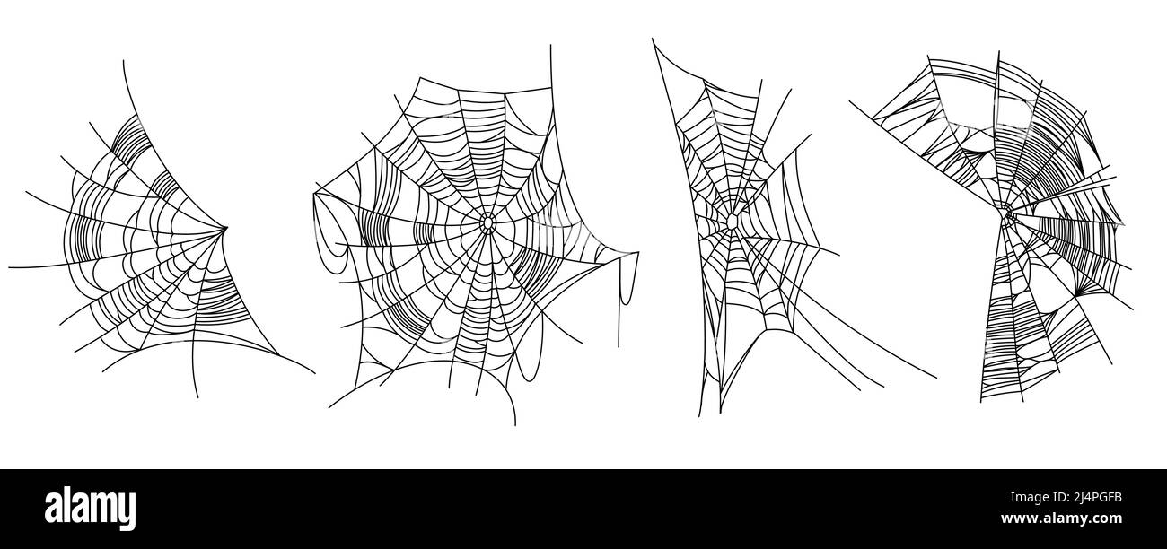 Spider web parts isolated on white background. Scary cobweb outline ...