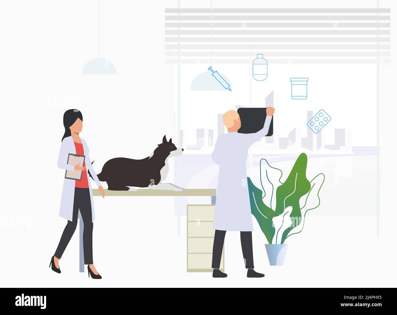 Veterinarians examining dog in vet clinic. Pet treatment, consultation ...