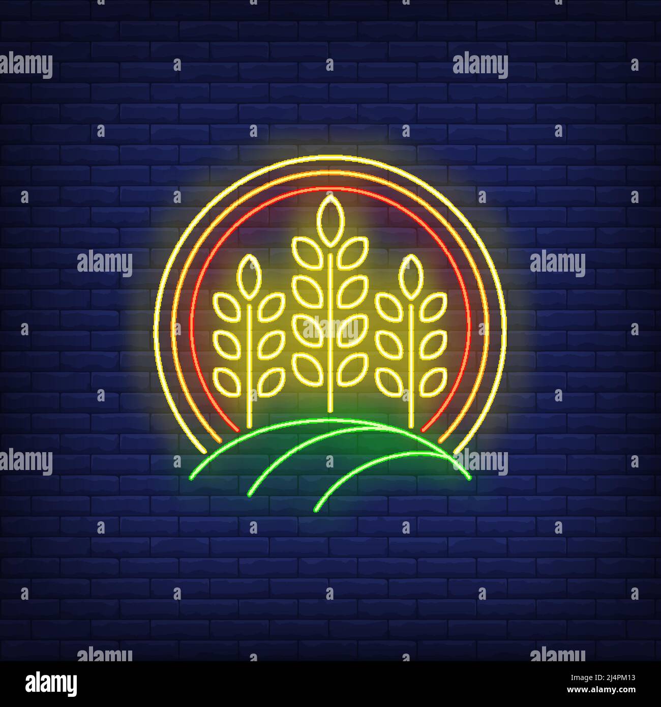 Wheat ears in circle neon sign. Agriculture, nature, cereals, harvest ...