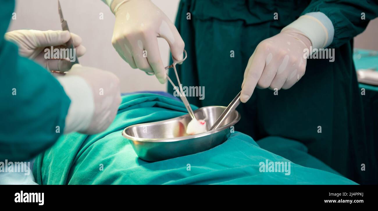Closeup hands of team doctor and surgeon doing surgery with patient in ...