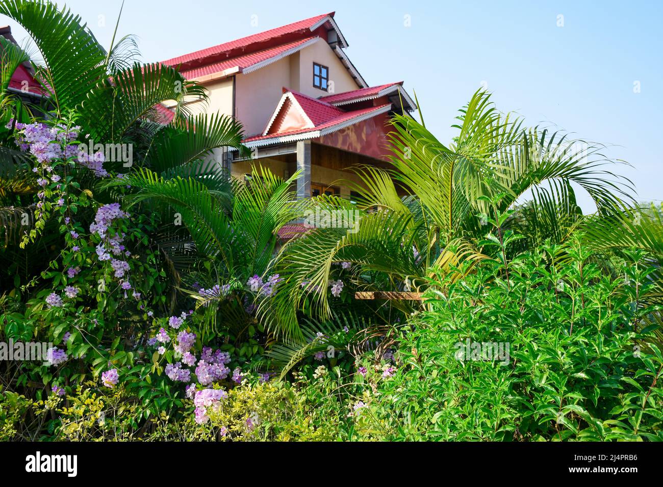 Red roofed resort with lush greenery ambiance , Lataguri West Bengal ...