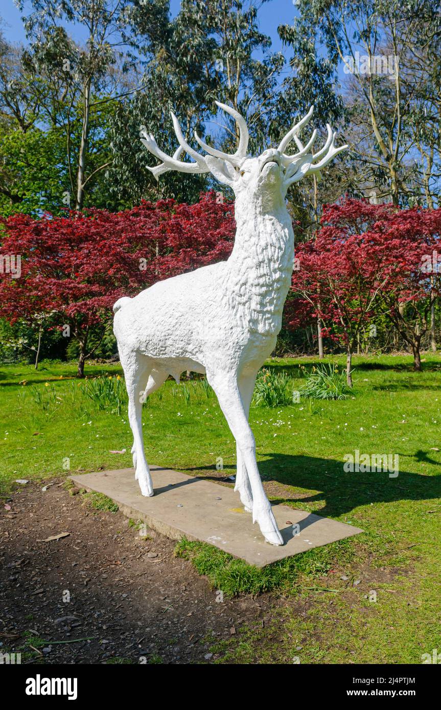 Statue in a garden of a white stag/deer Stock Photo - Alamy