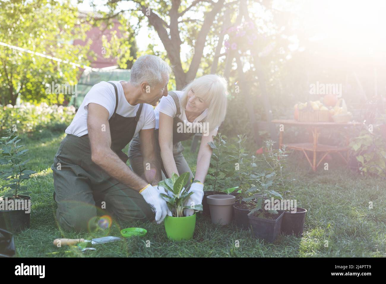Talking to plants hi-res stock photography and images - Alamy