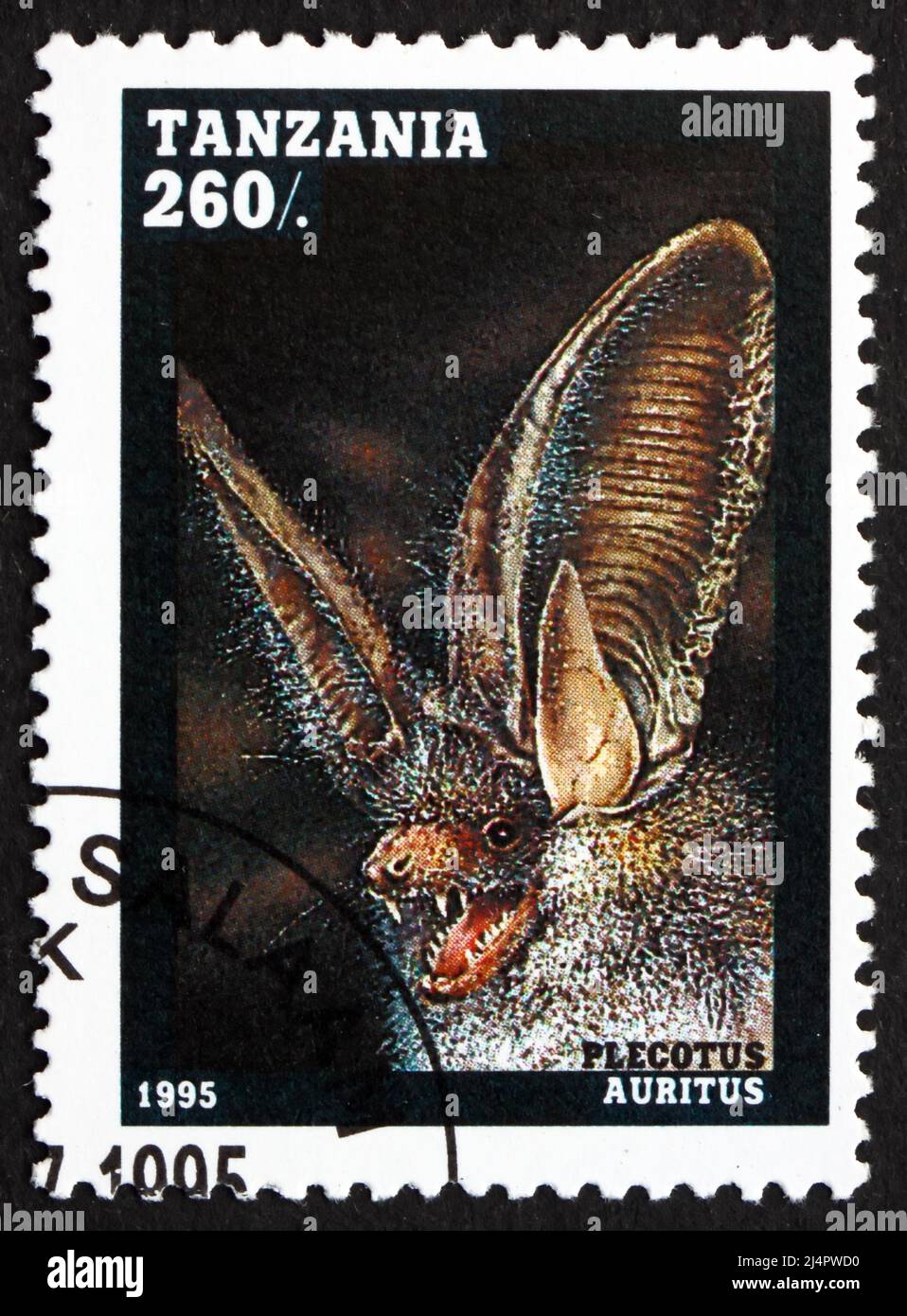 TANZANIA - CIRCA 1995: a stamp printed in Tanzania shows Common Long ...