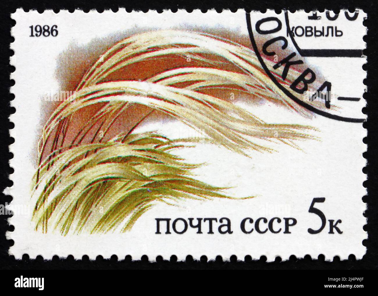 RUSSIA - CIRCA 1986: a stamp printed in the Russia shows Grass, Flora ...