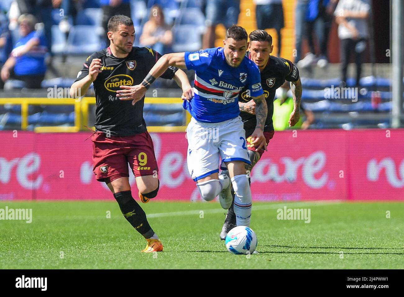 Luigi Ferraris stadium, Genova, Italy, April 16, 2022, Federico Bonazzoli (Salernitana) - Nicola ...