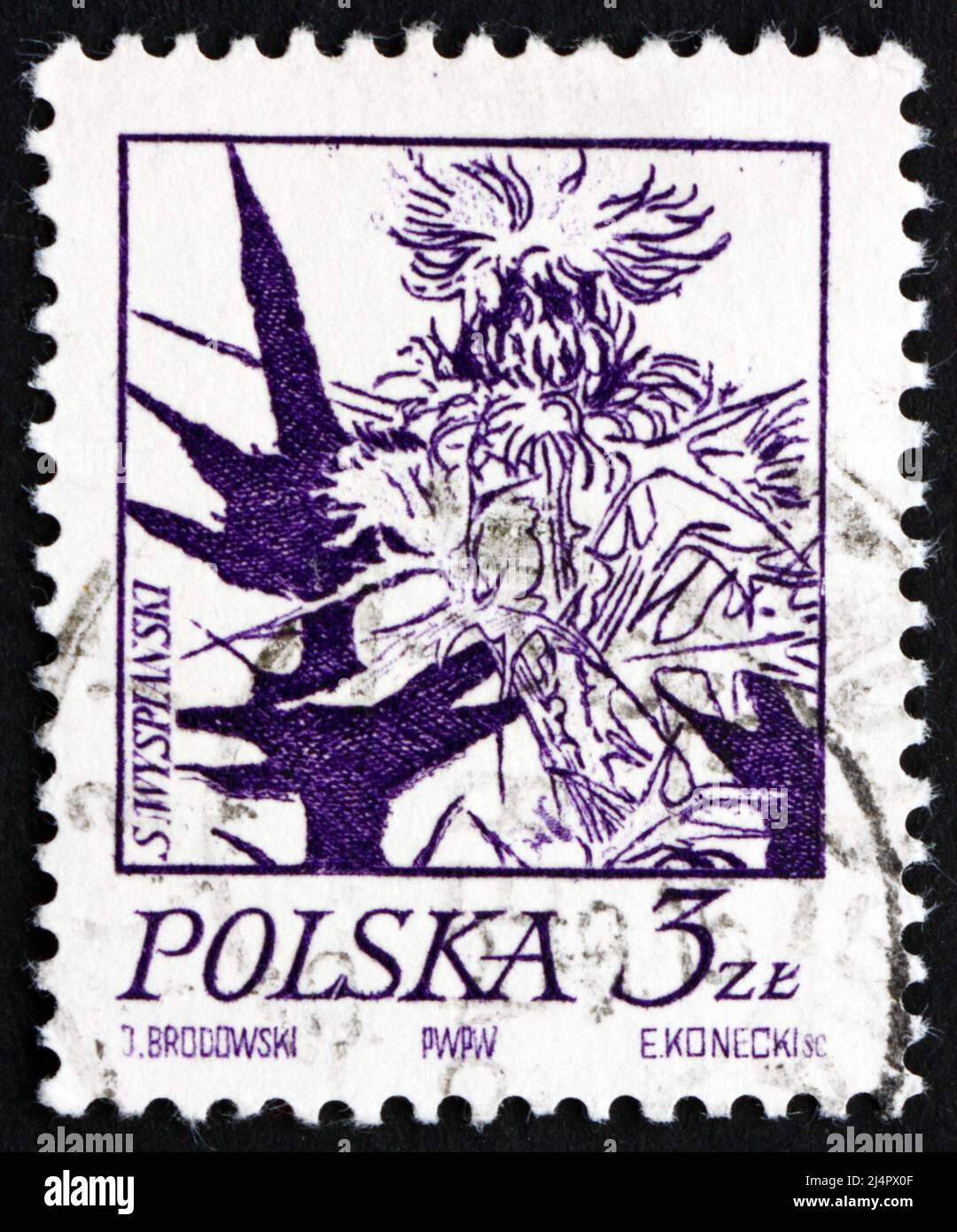 POLAND - CIRCA 1974: a stamp printed in the Poland shows Thistle, Flowering Plant, circa 1974 ...