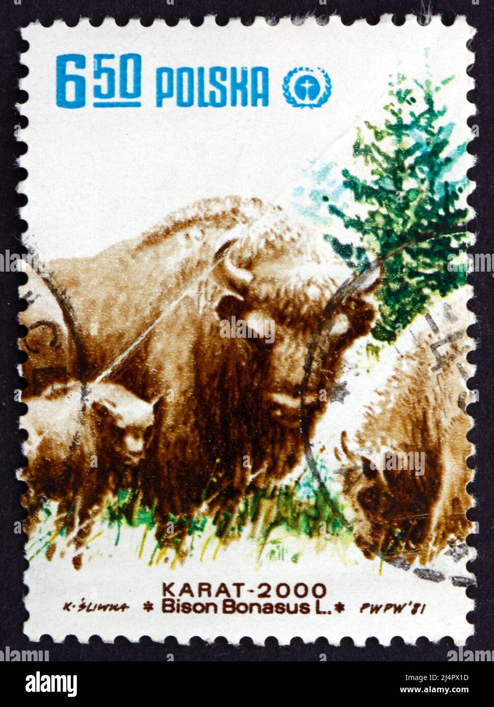 POLAND - CIRCA 1981: a stamp printed in the Poland shows European Bison ...