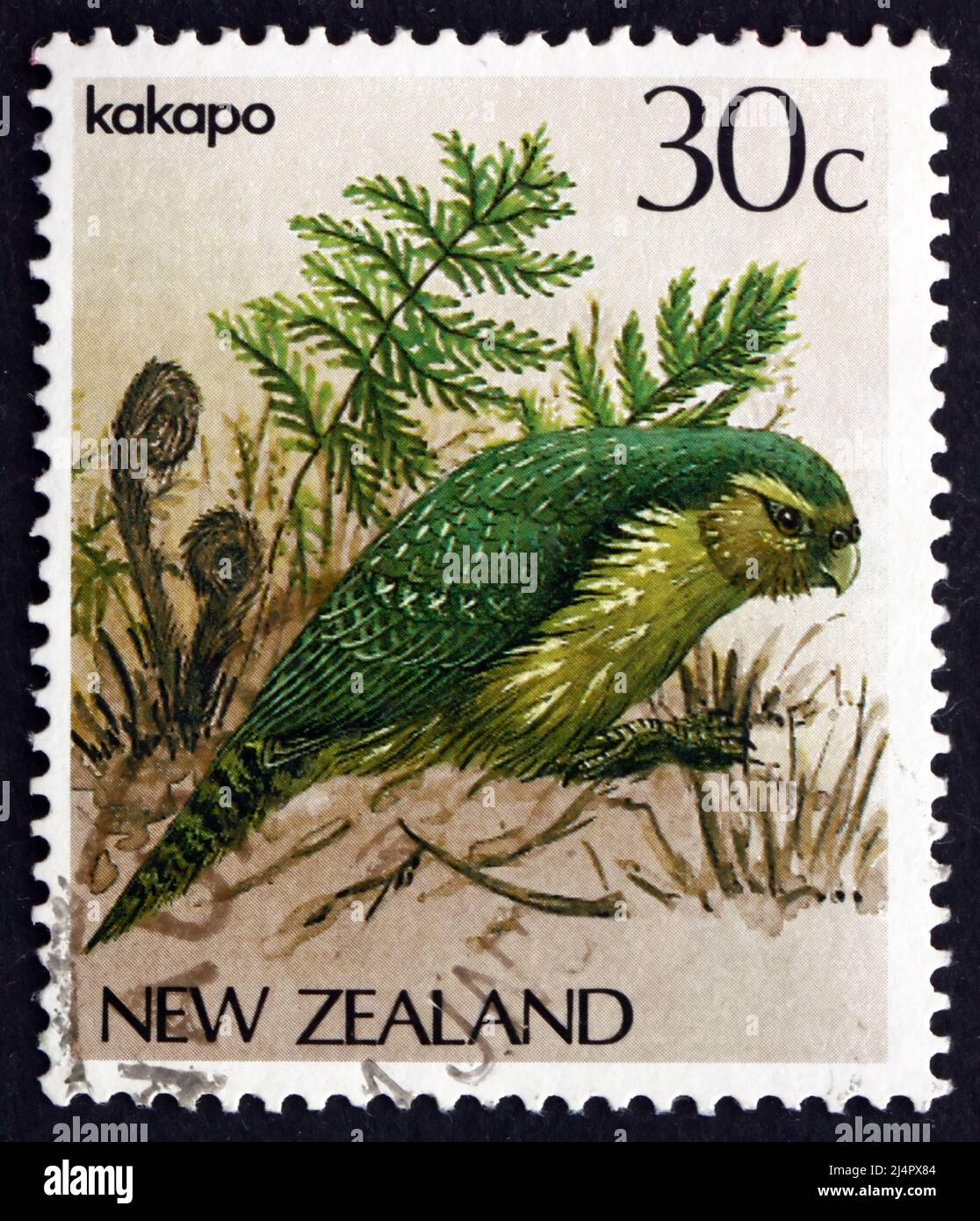 NEW ZEALAND - CIRCA 1986: a stamp printed in the New Zealand shows ...