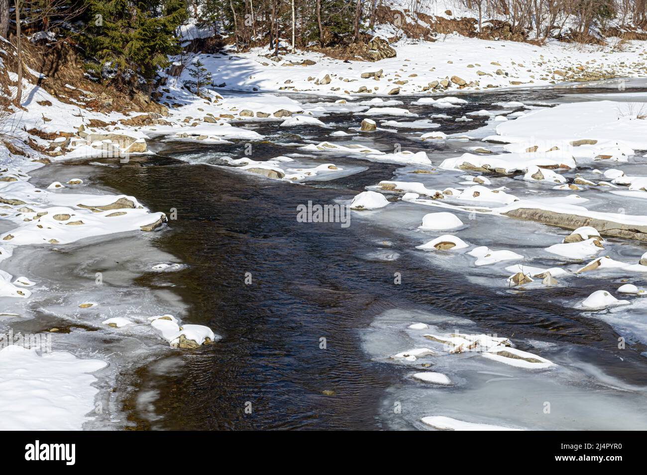 Nature of Western Ukraine. Mountains, rivers and forests. Shelter for ...