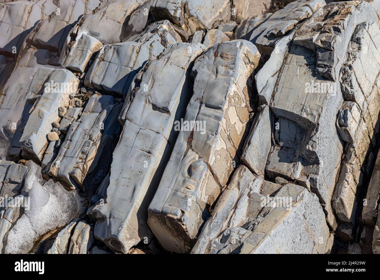Nature of Western Ukraine. Mountains, rivers and forests. Shelter for ...