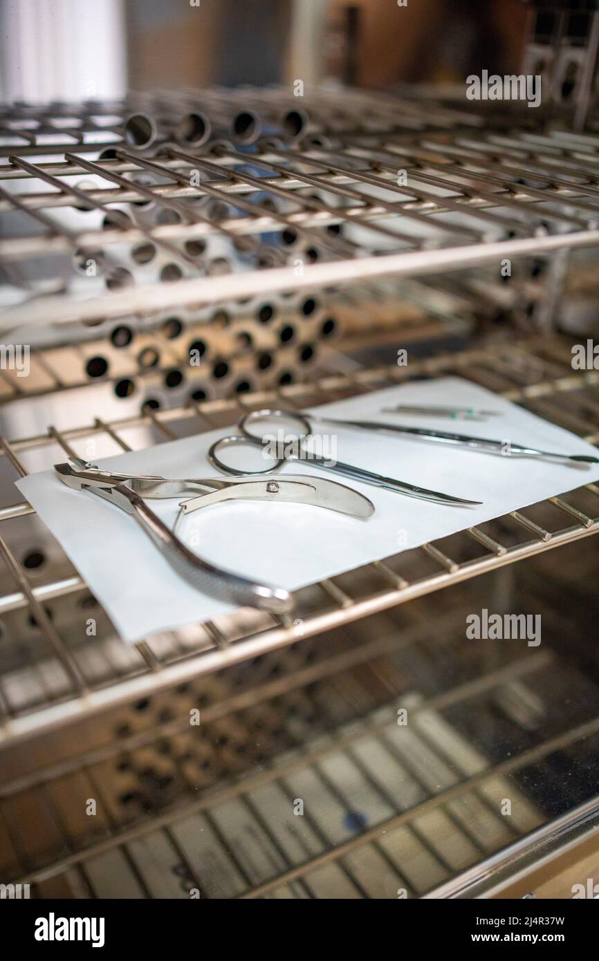 Professional disinfection of manicure tools in autoclave. Packages with ...