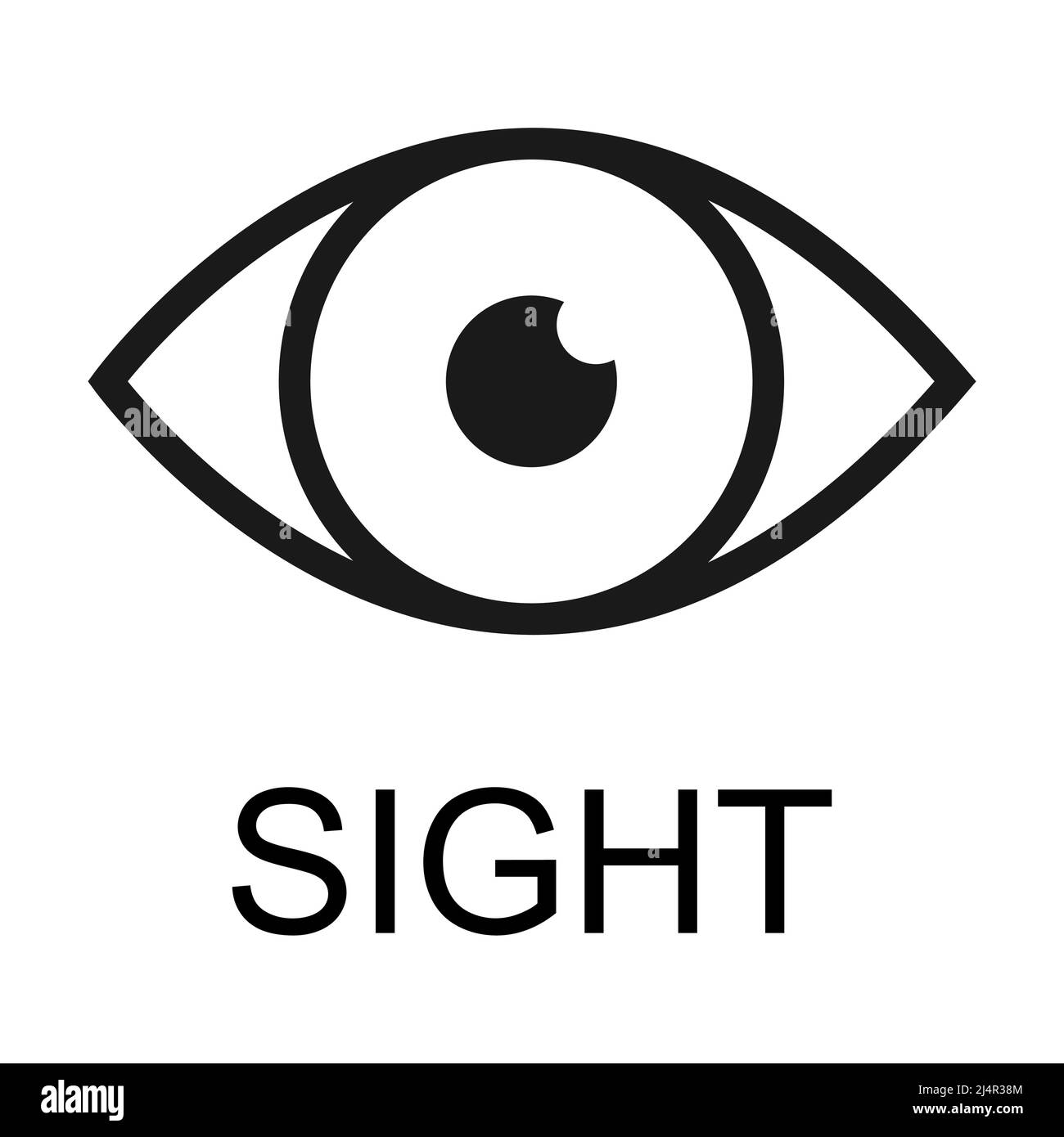 Human anatomy flat eye icon, sight health organ vector illustration ...