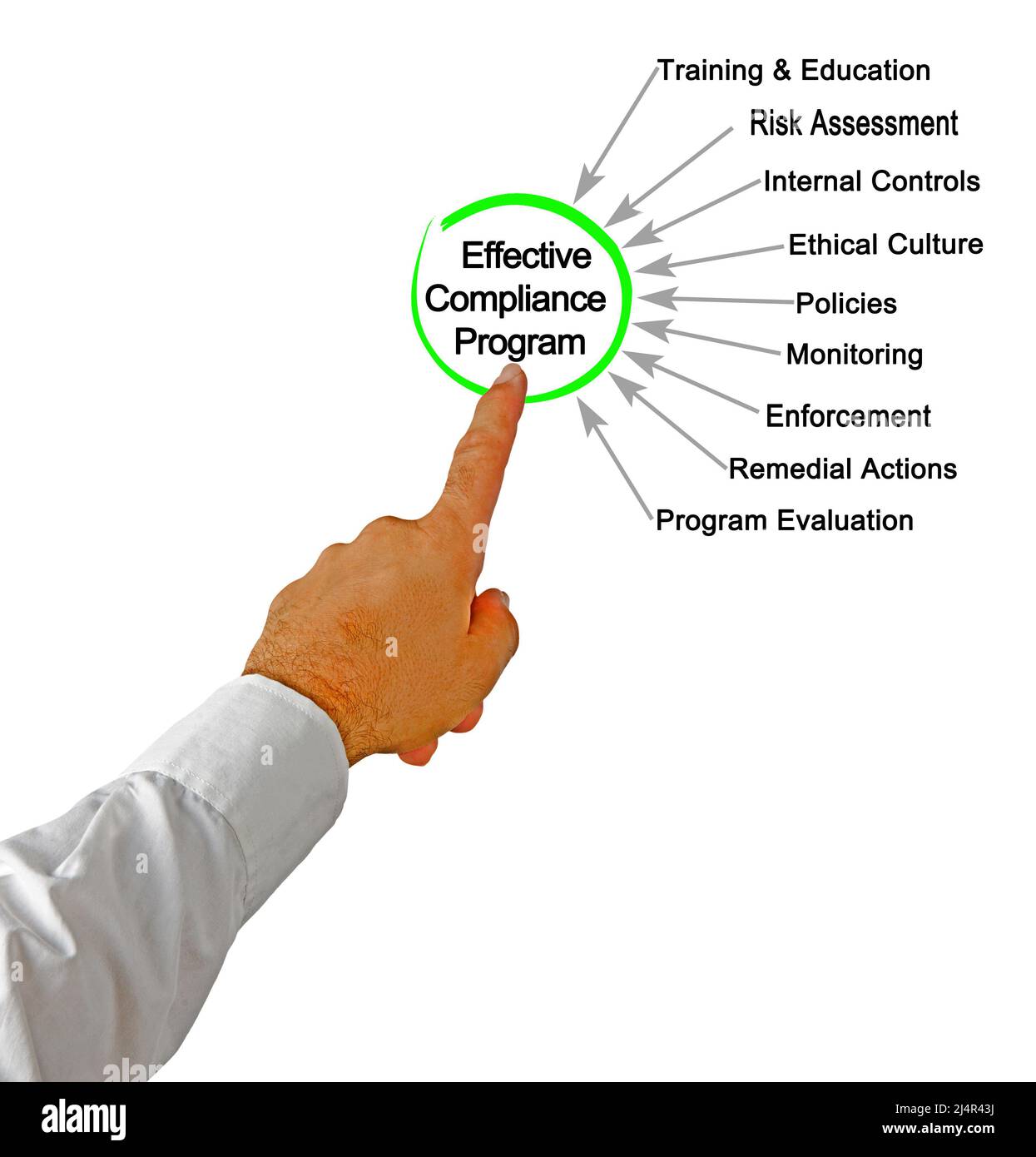 Components of Effective Compliance Program Stock Photo - Alamy