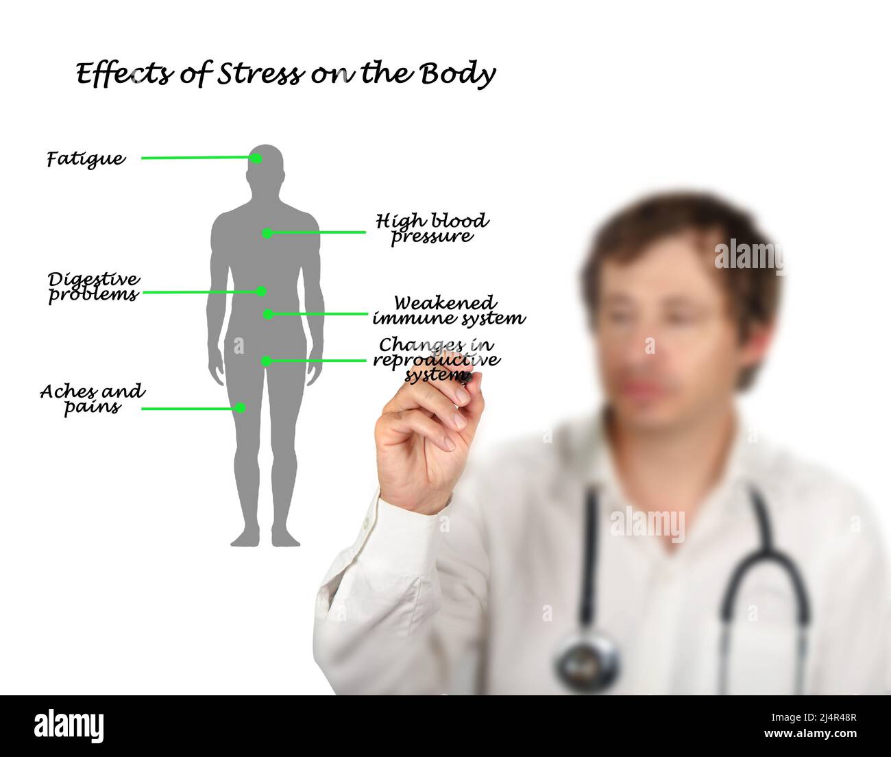 Effects of Stress on the Body Stock Photo - Alamy