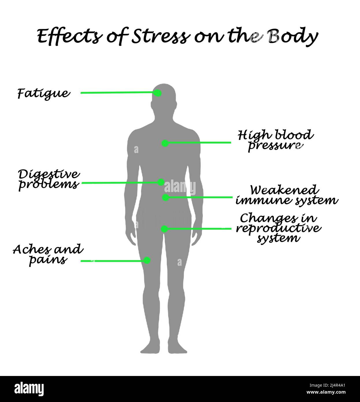 Effects of Stress on the Body Stock Photo - Alamy