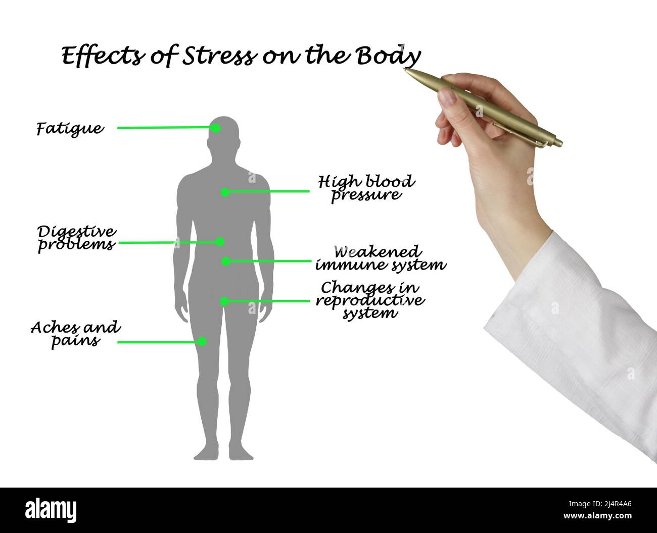 Effects of Stress on the Body Stock Photo - Alamy