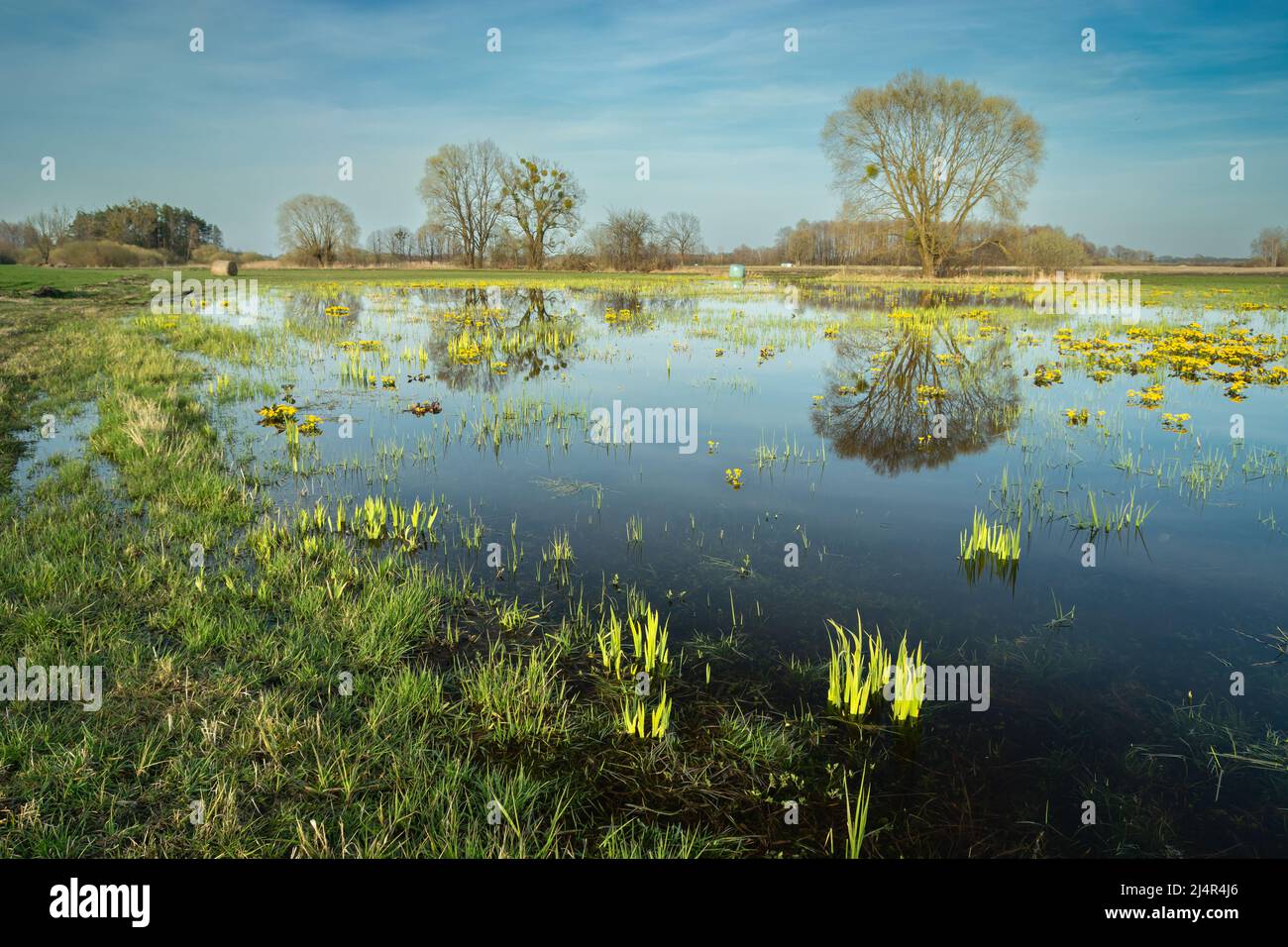 Flood pasture hi-res stock photography and images - Alamy