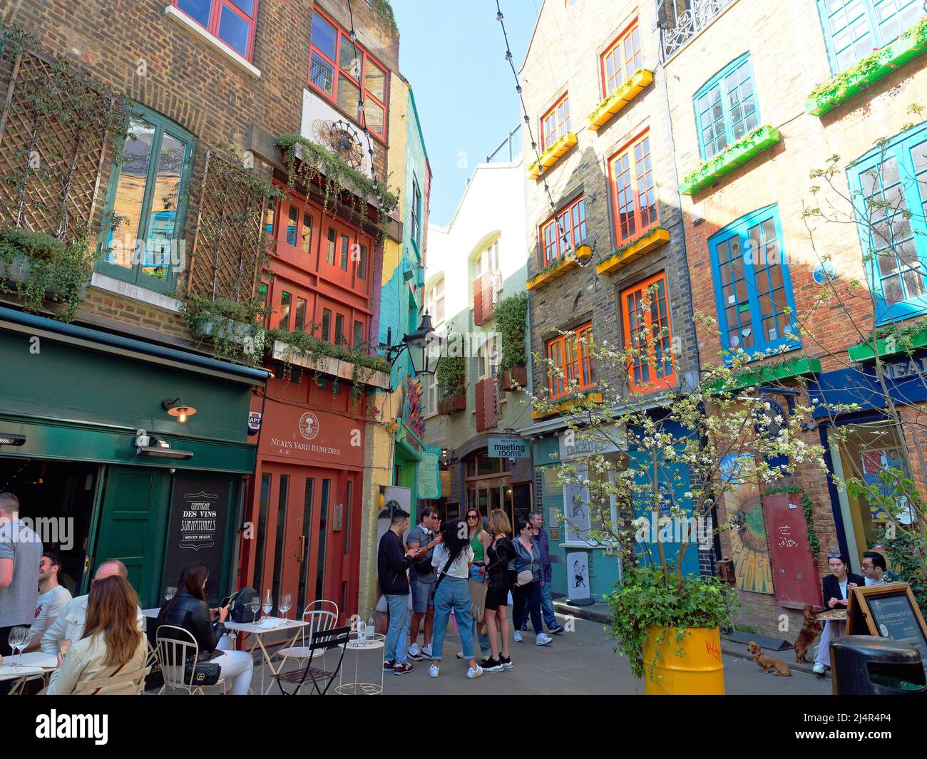 Seven dials london sign hi-res stock photography and images - Alamy