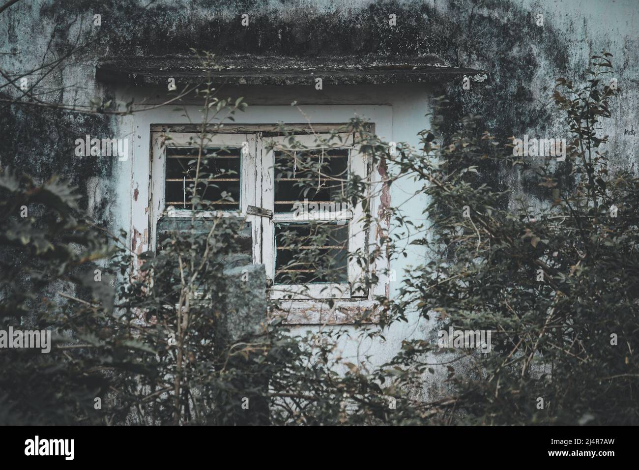 View of broken window in an old house in the midst of a forest area in ...