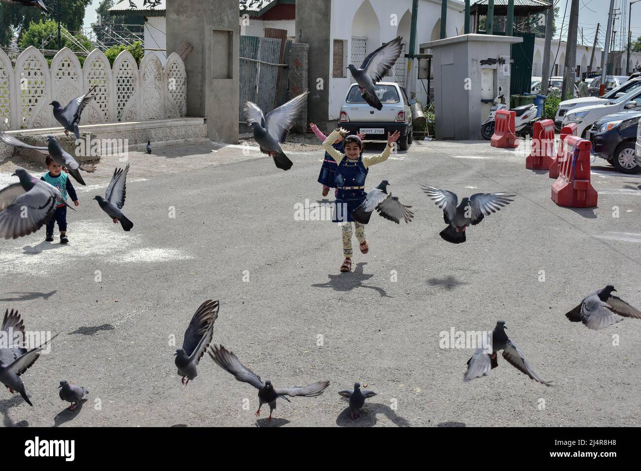 Kashmiri children chase pigeons outside the Hazratbal Shrine during the ...