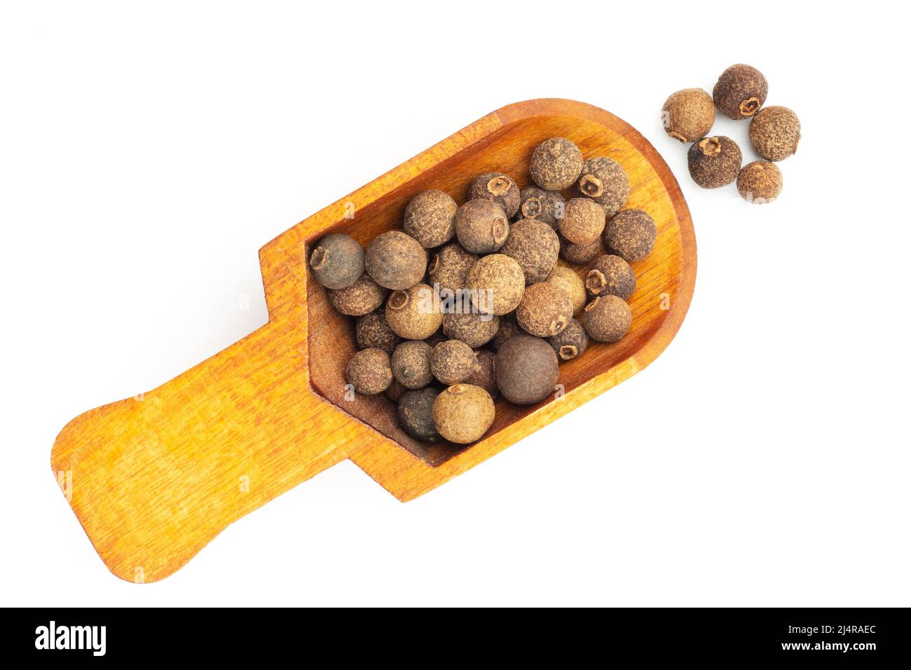 Spice Allspice in wooden scoop and bunch on white background. Flat lay ...