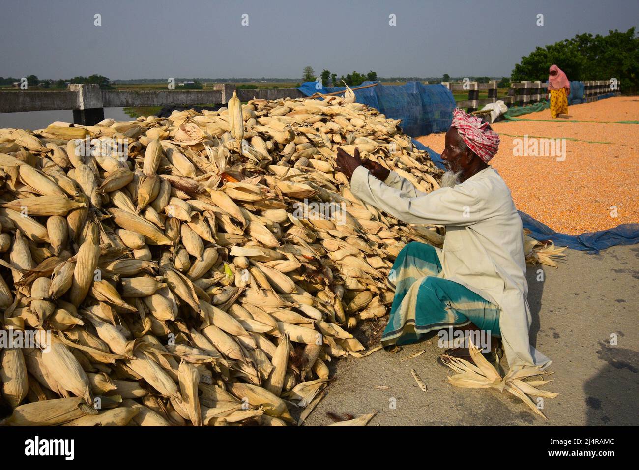 Village morigaon district of assam hi-res stock photography and images ...